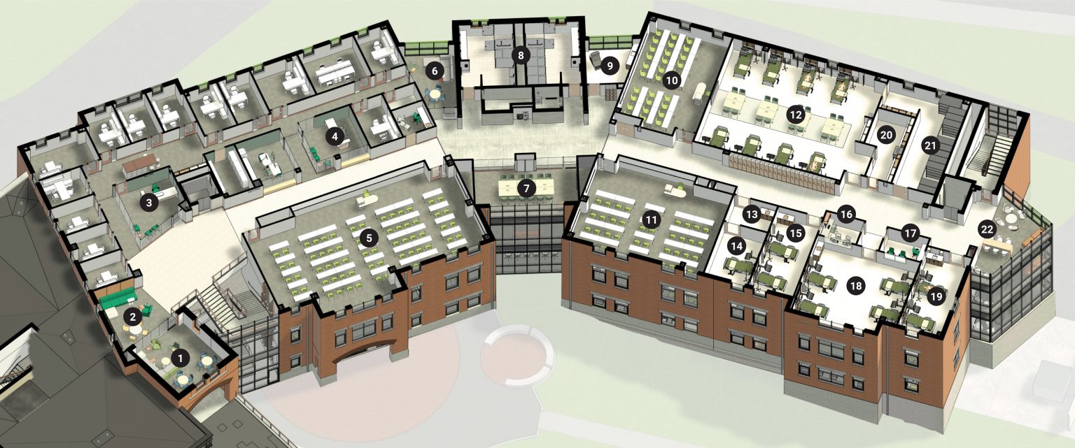 Raising Up a New Generation of Builders | Franciscan Magazine